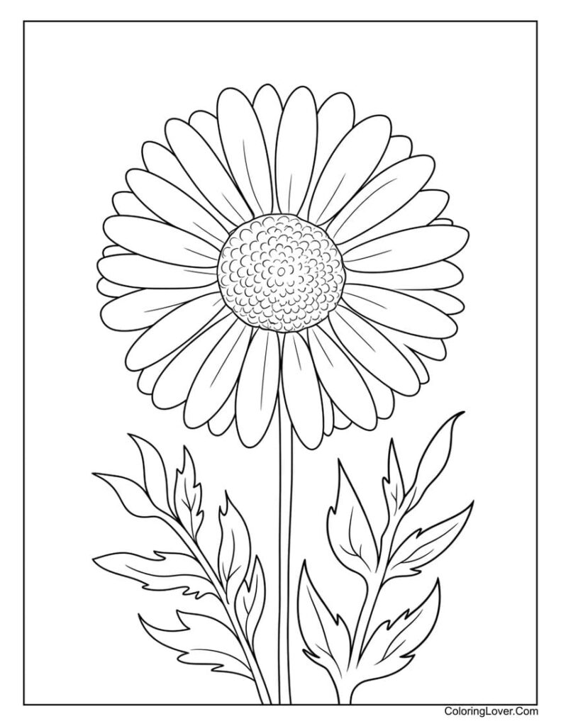 39 Daisy Coloring Pages (Free Printables for All Ages)