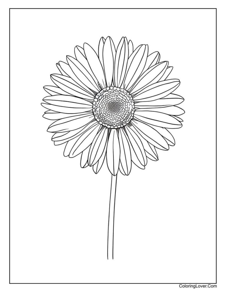 39 Daisy Coloring Pages (Free Printables for All Ages)