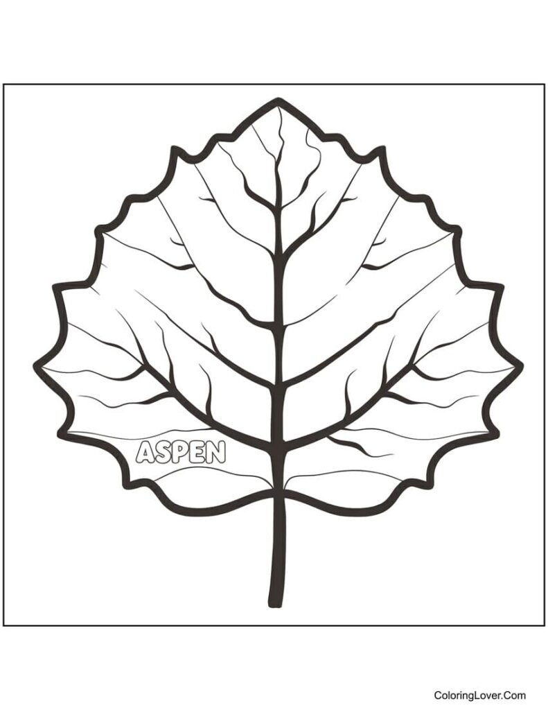 54 Leaf Coloring Pages (Free Printables for All Ages)
