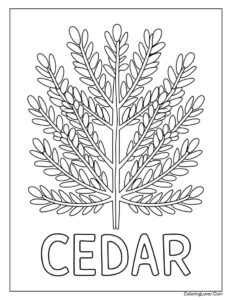54 Leaf Coloring Pages (Free Printables for All Ages)