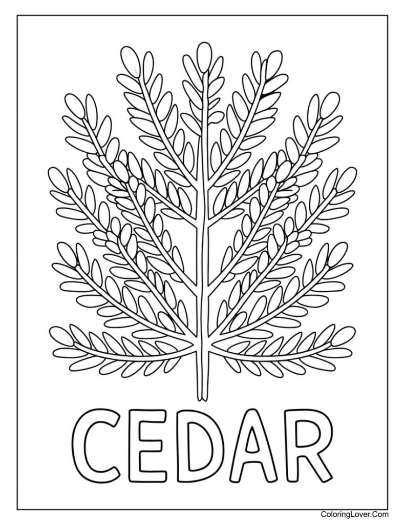 54 Leaf Coloring Pages (Free Printables for All Ages)