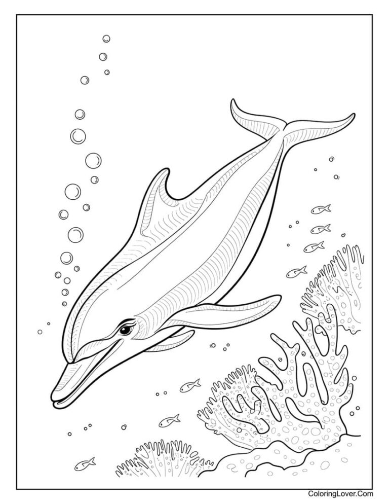 42 Dolphin Coloring Pages (Free Printables for All Ages)