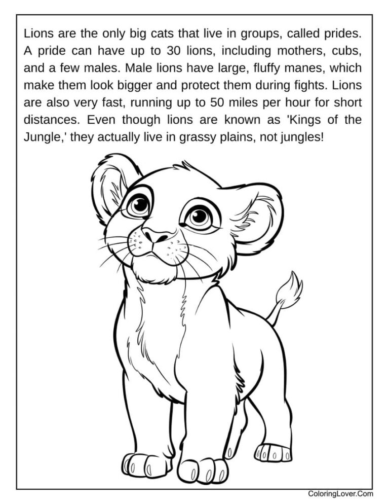 54 Lion Coloring Pages (Free Printables for All Ages)