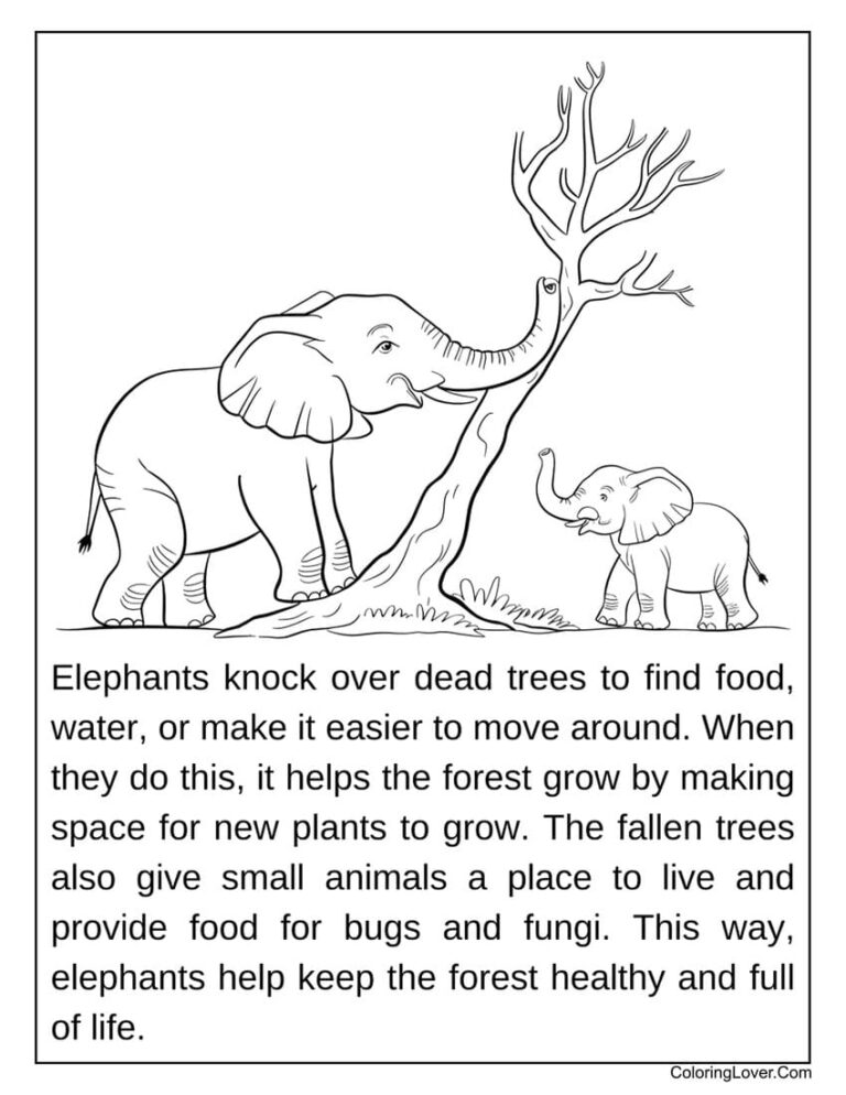 42 Elephant Coloring Pages (Free Printables for All Ages)