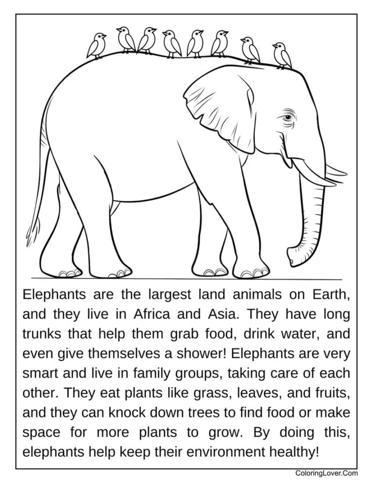 42 Elephant Coloring Pages (Free Printables for All Ages)