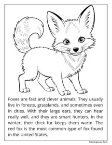 42 Fox Coloring Pages (Free Printables for All Ages)