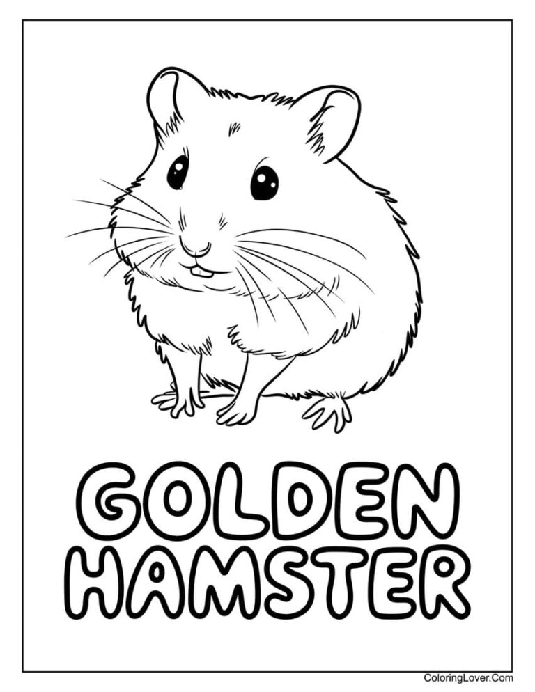 30 Hamster Coloring Pages (Free Printables for All Ages)
