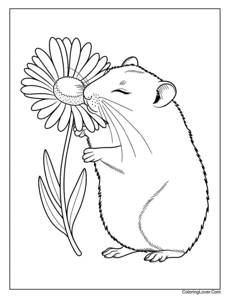 30 Hamster Coloring Pages (Free Printables for All Ages)