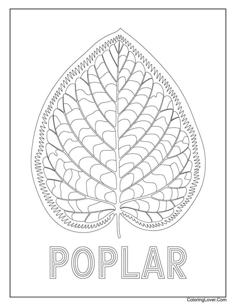 54 Leaf Coloring Pages (Free Printables for All Ages)