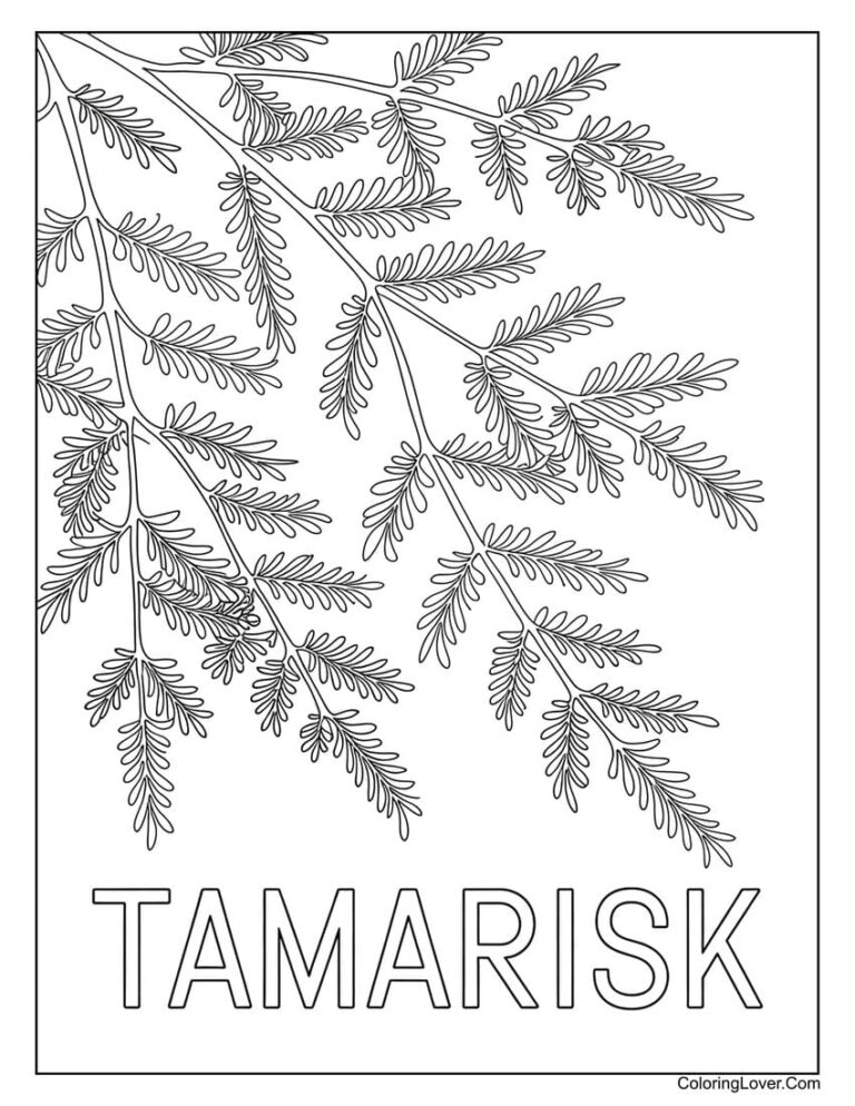 54 Leaf Coloring Pages (Free Printables for All Ages)