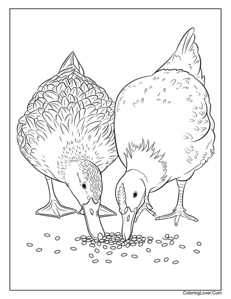 39 Duck Coloring Pages (Free Printables for All Ages)