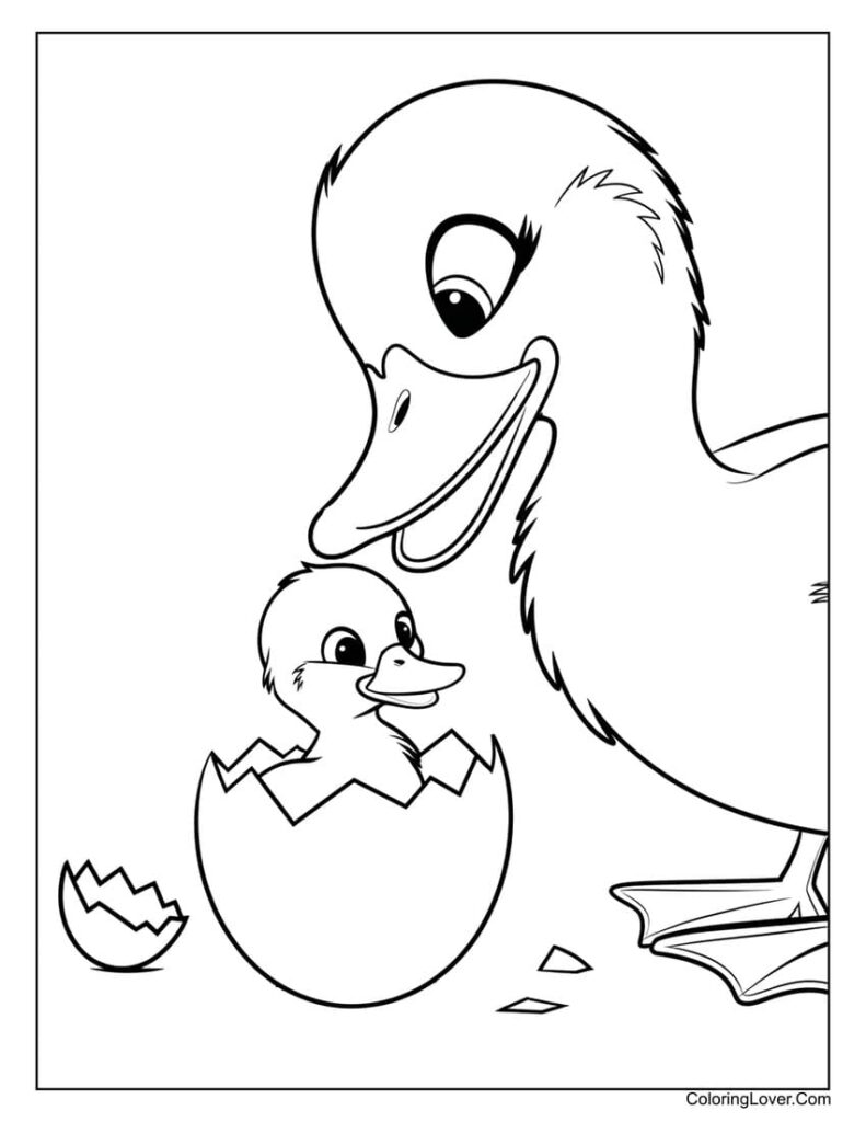 39 Duck Coloring Pages (Free Printables for All Ages)