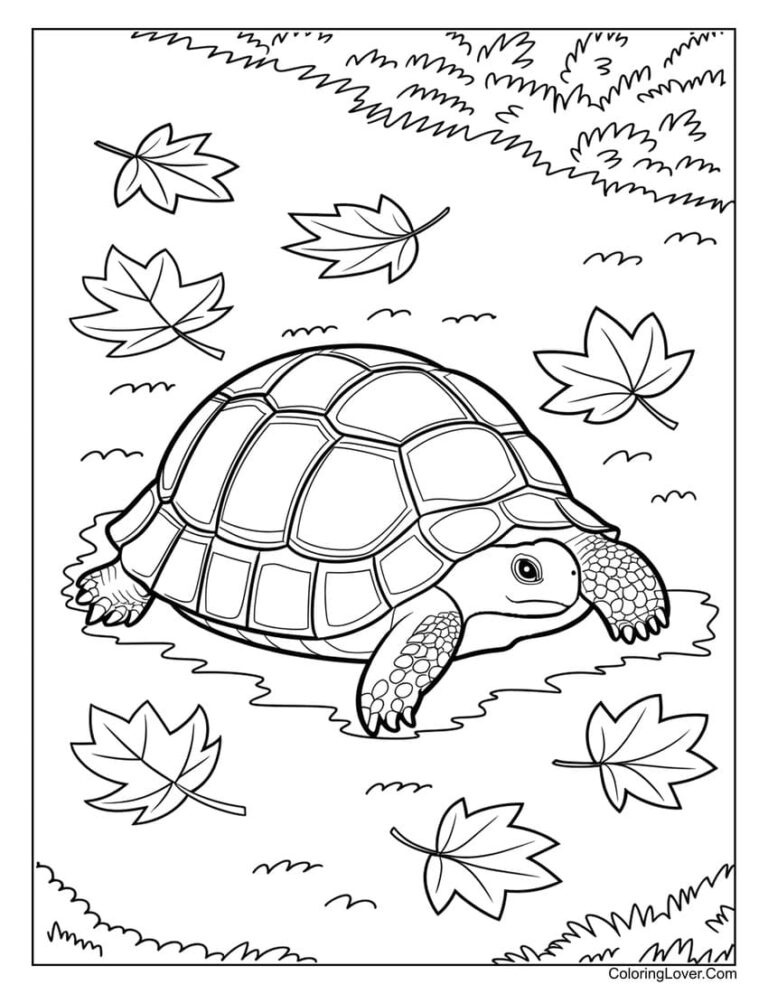 42 Turtle Coloring Pages (Free Printables for All Ages)