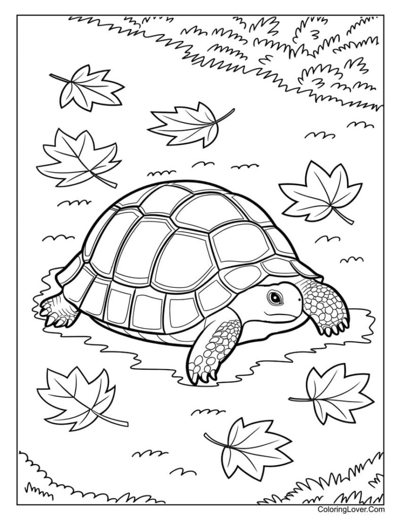 42 Turtle Coloring Pages (Free Printables for All Ages)
