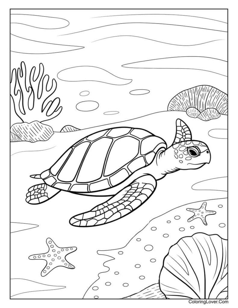 42 Turtle Coloring Pages (Free Printables for All Ages)