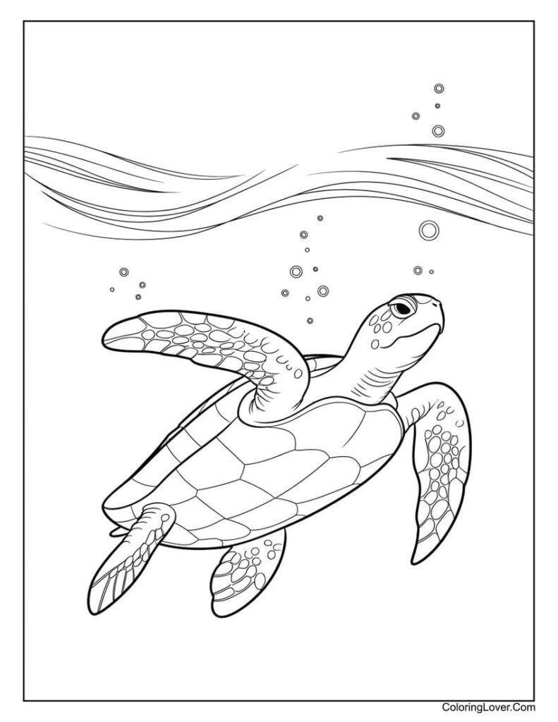 42 Turtle Coloring Pages (Free Printables for All Ages)