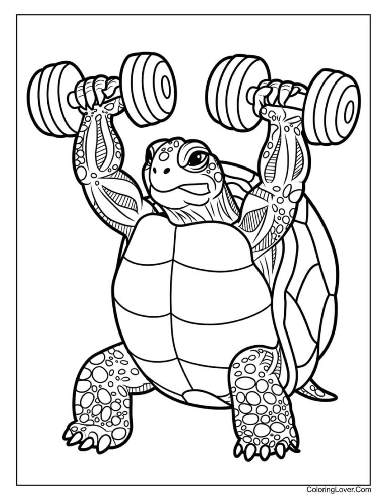 42 Turtle Coloring Pages (Free Printables for All Ages)