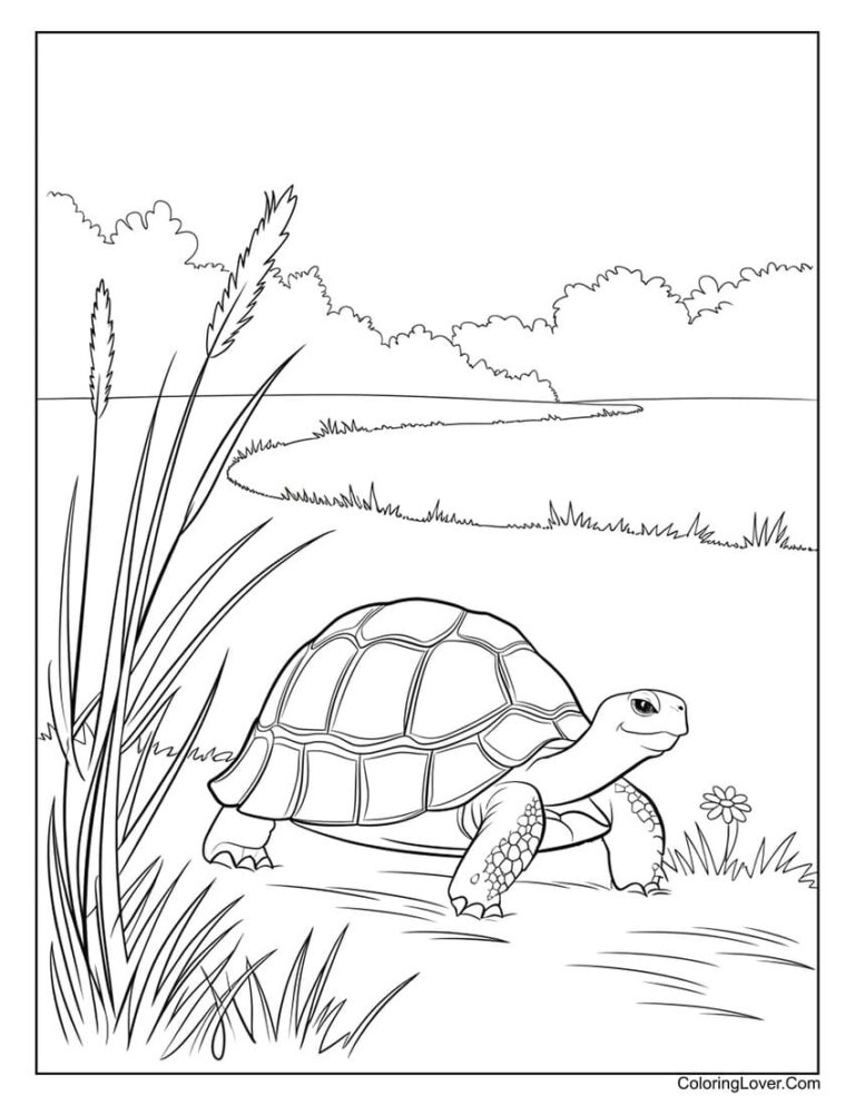 42 Turtle Coloring Pages (Free Printables for All Ages)