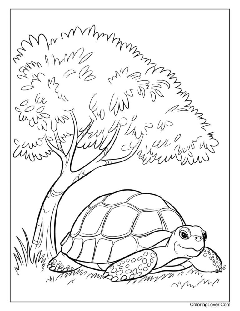 42 Turtle Coloring Pages (Free Printables for All Ages)