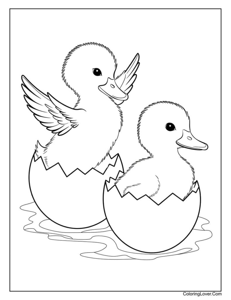 39 Duck Coloring Pages (Free Printables for All Ages)
