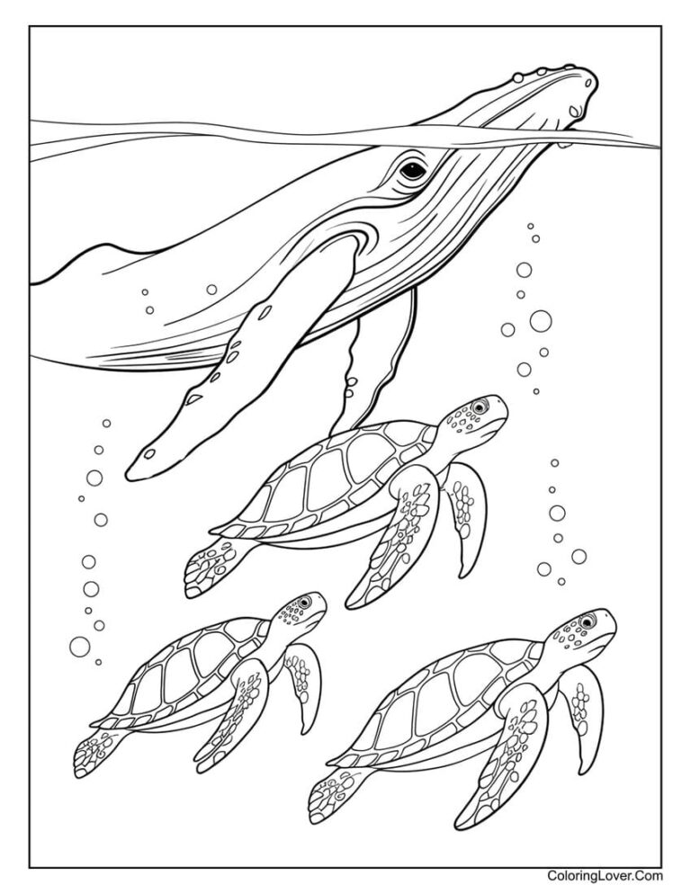 42 Turtle Coloring Pages (Free Printables for All Ages)