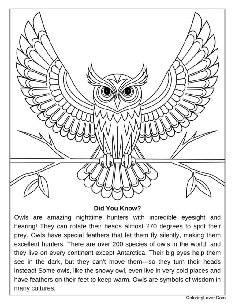 39 Owl Coloring Pages (Free Printables for All Ages)