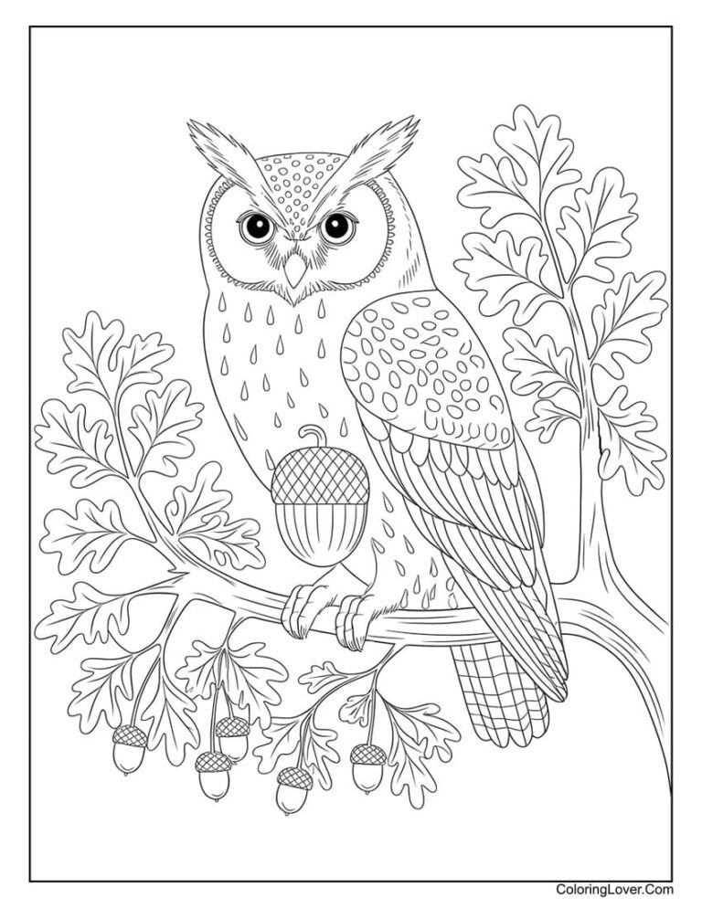 39 Owl Coloring Pages (Free Printables for All Ages)