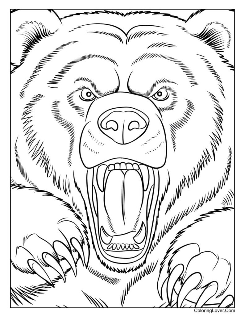 42 Bear Coloring Pages (Free Printables for All Ages)