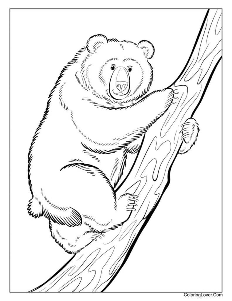42 Bear Coloring Pages (Free Printables for All Ages)