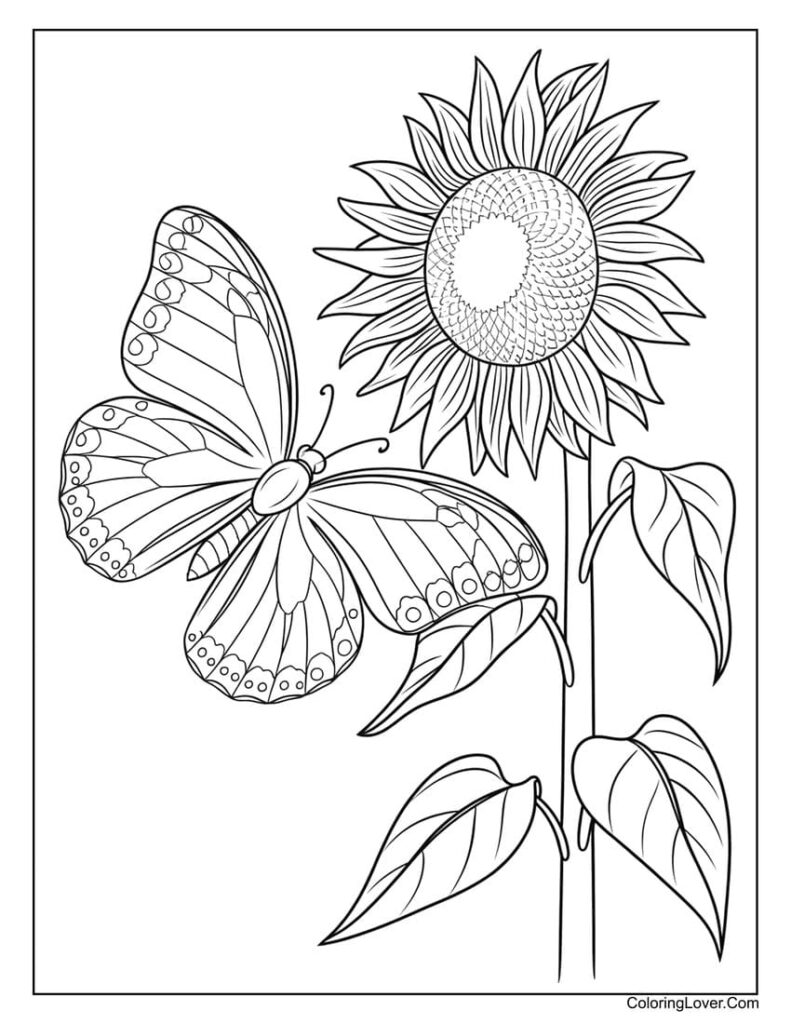 54 Butterfly Coloring Pages (Free Printables for All Ages)