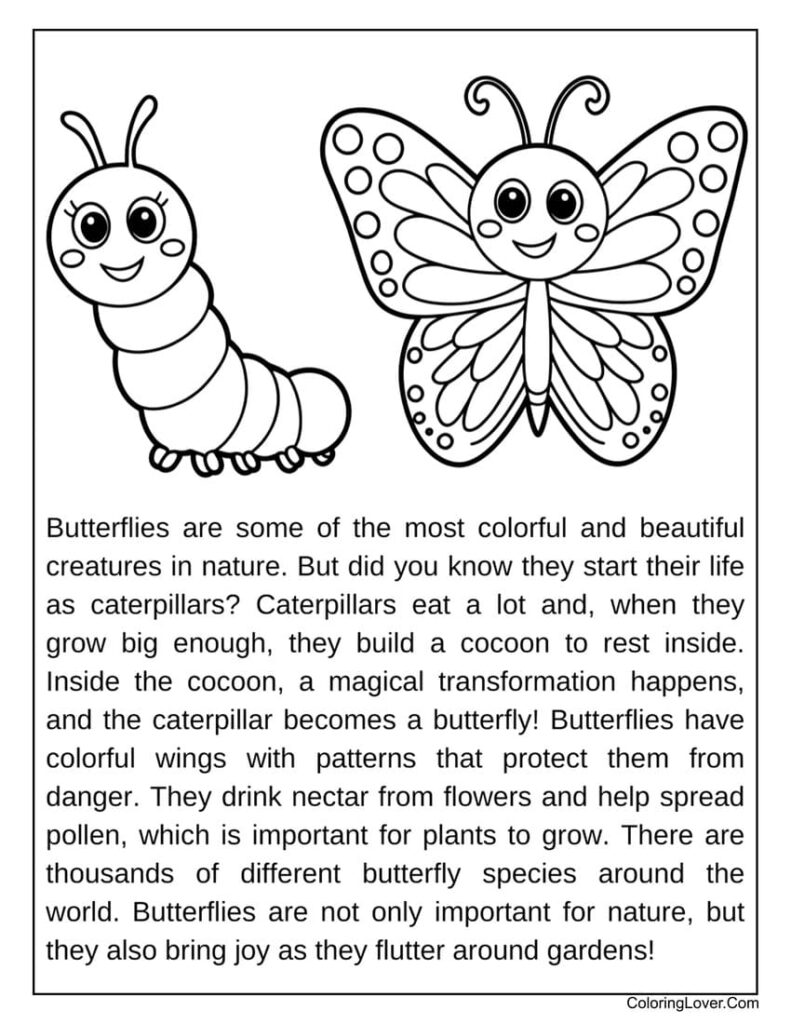 54 Butterfly Coloring Pages (Free Printables for All Ages)