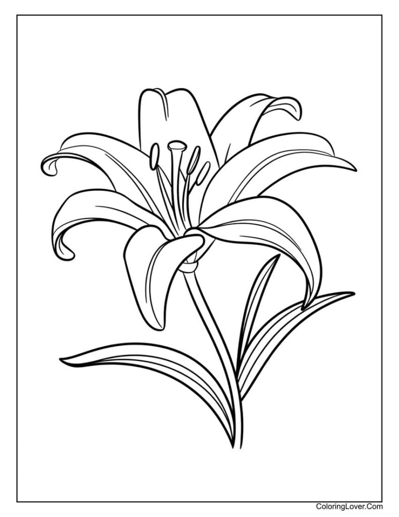 90+ Easy Coloring Pages (Simple Printables for All Ages)