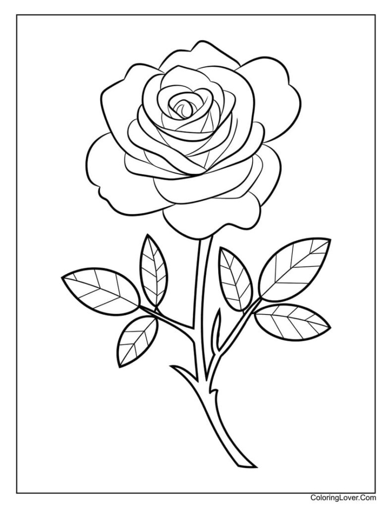 90+ Easy Coloring Pages (Simple Printables for All Ages)