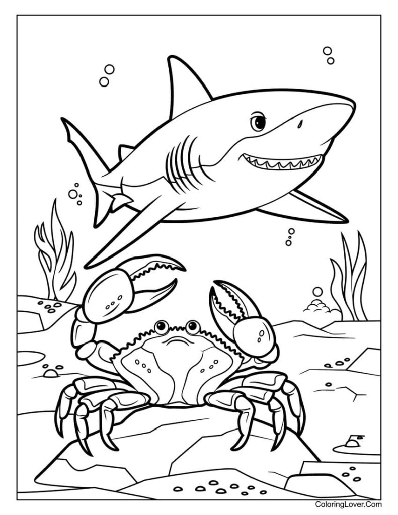 48 Shark Coloring Pages (Free Printables for All Ages)