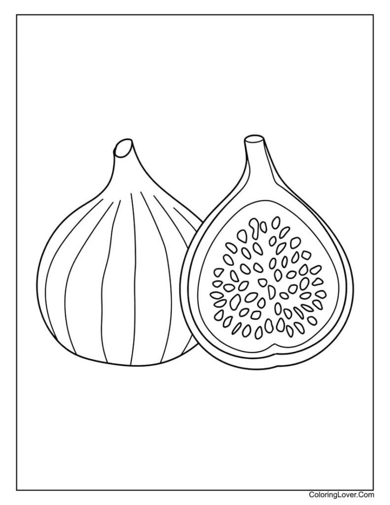 46 Fruit Coloring Pages (Free Printables for All Ages)