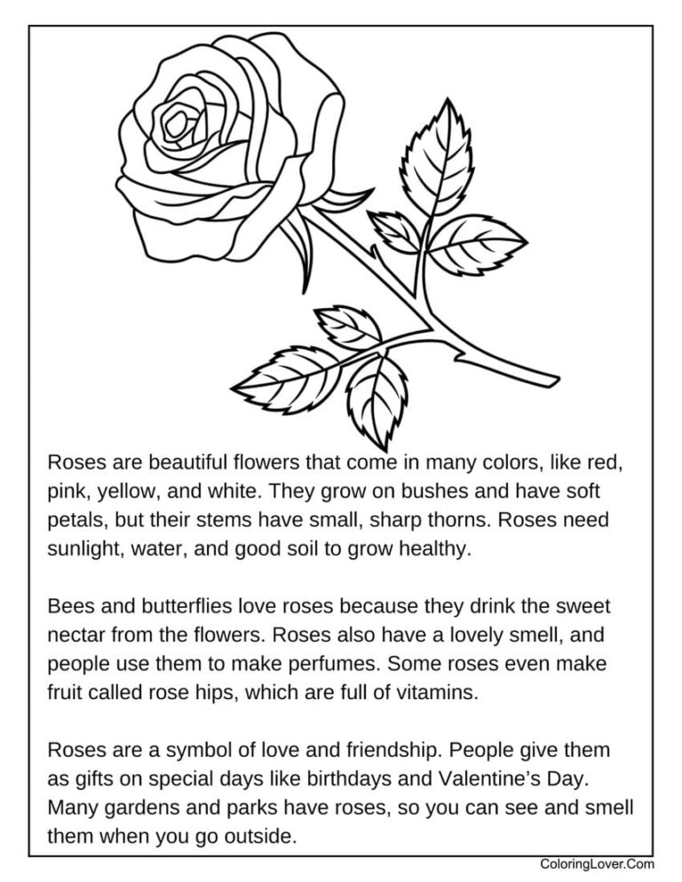 36 Rose Coloring Pages (Free Printables for All Ages)
